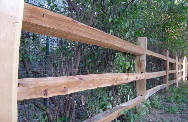 SP Fence Blog | Fencing News | Articles | Stories | Information